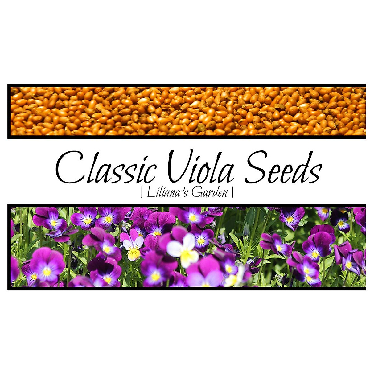 Viola Seeds – Classic Viola Colors aka “Johnny-Jump-Up” - Annual Heirloom Flower Seeds| Heirloom Seeds by Liliana's Garden |