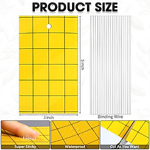 Qualirey 300 Pcs Sticky Trap for Gnats 3 x 5'' Dual Side Sticky Fruit Fly Trap with Tie Plant Sticky Trap for Flying Insect Fungus Bugs Flying Sticky Trap for Indoor (Yellow)