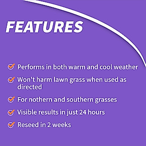 Bonide 311 916085 Qt Rts Ultra Weed Beater, 32 Fl Oz