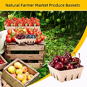 PARBEE 60 Pack Pulp Fiber Berry Basket, Molded Containers Vented for Strawberry Blueberry Raspberry Grape Cherry, Small Farmer Market Produce Basket Containers
