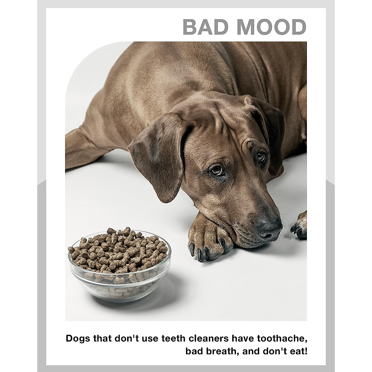 YXFAIRY Dog Tartar Remover for Teeth, Dog Plaque Remover for Teeth, Dog Ultrasonic Teeth Cleaner Toothbrush for Dog Cat, Teeth Cleaning Kit -Tartar Remover for Teeth Stains (Black, 8.46 in)