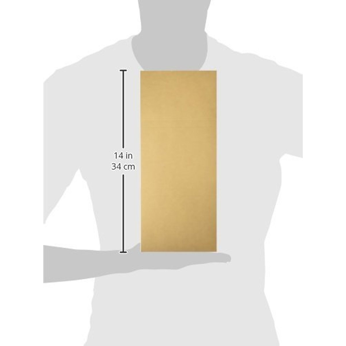 PDC Healthcare F3B File Folder Double Fold for Prescriptions Cardboard, 5-1/2" x 13" Buff (Pack of 100)