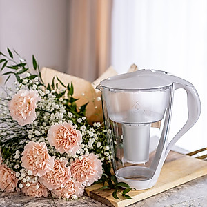 DAFI Glass Water Filter Pitcher with Alkaline Filter | 64 oz | waterdrip Water Purifier for Drinking Water, Clearly Filter jug, Water purifer | White LED, BPA-Free | Made in Europe