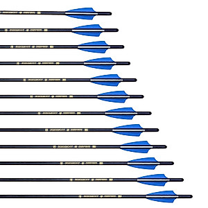 e5e10 20"/22'' Crossbow Bolts Carbon Arrows 8mm Shaft Half Moon Nocks with Replaceable Screw-in Broadhead for Crossbow Hunting Target Practice Outdoor Gift, 12Pcs (20inch New)