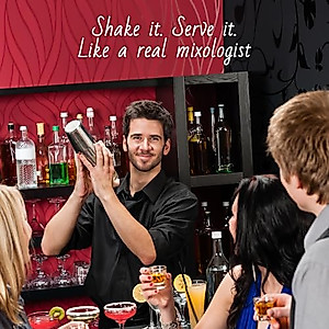 Travel Bartender Kit with 20 Piece Stainless Steel Travel Bar Kit Set and Portable Bartender Kit Bag for Traveling Camping Professional Bartender Kit for Bartending and Cocktail Making