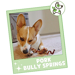 Nature Gnaws Pork Bully Stick Springs for Dogs 7-8" (12 Count) - Long Lasting for Small and Medium Dogs - Natural Bacon Dog Chew Treats - Rawhide Free