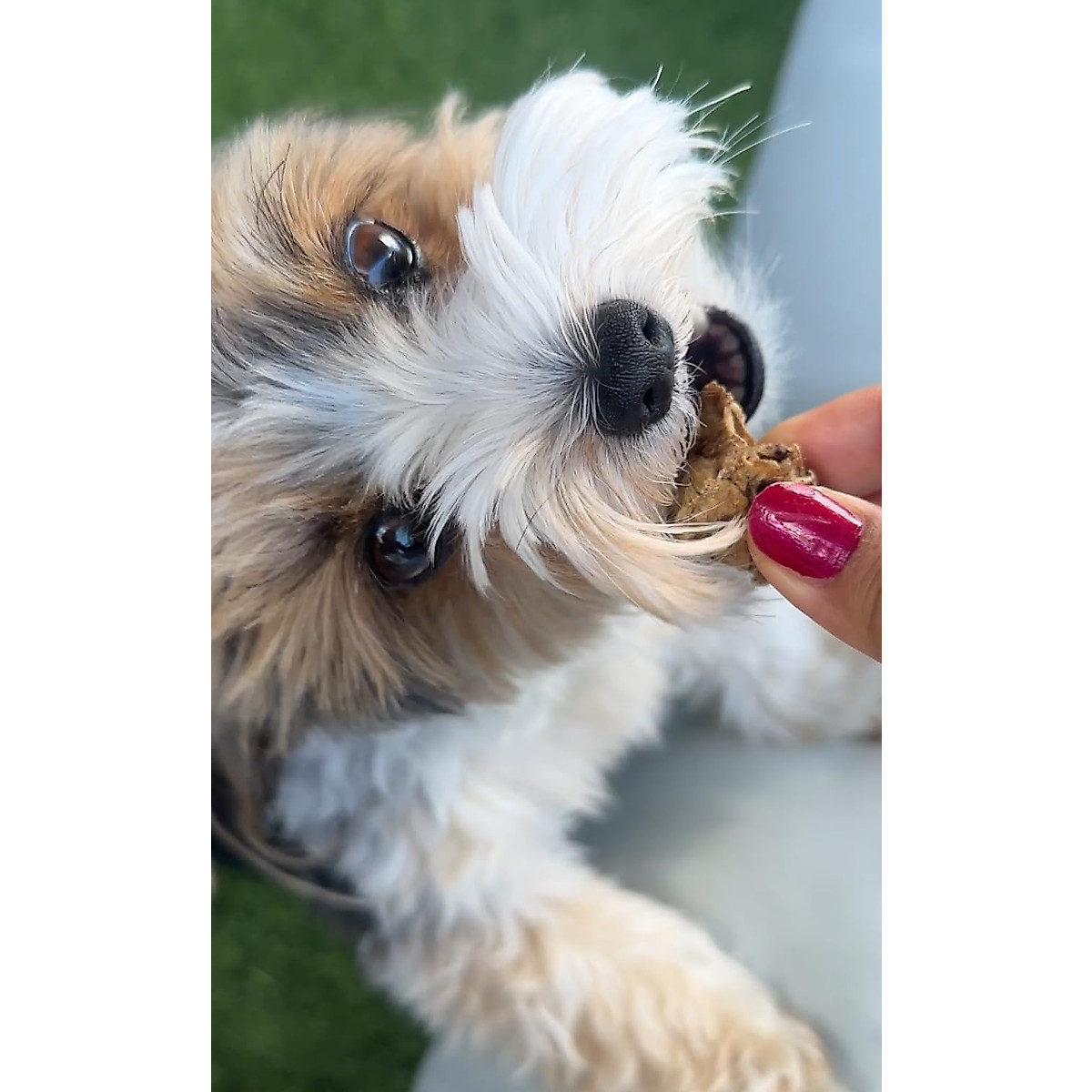 Munchbird Dehydrated Beef Lung Dog Treats (Premium Angus Beef), Dog Training Treats, Excellent Alternative to Freeze Dried Beef Liver Dog Treats for Maximum Crunch and Flavor, Made and Sourced in USA