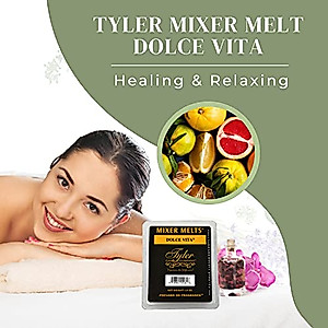 Worldwide Nutrition Tyler Candle Company Dolce Vita Scent Wax Melts - Soy Wax Scented Mixer Melts with Essential Oils for Wax Warmer - Pack of 4, 6 Bars per Melt Multi Purpose Key Chain