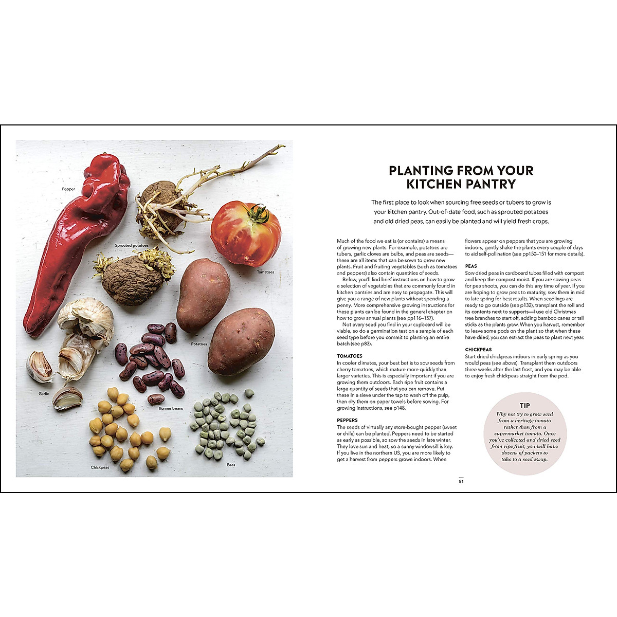 Grow Food For Free: The sustainable, zero-cost, low-effort way to a bountiful harvest