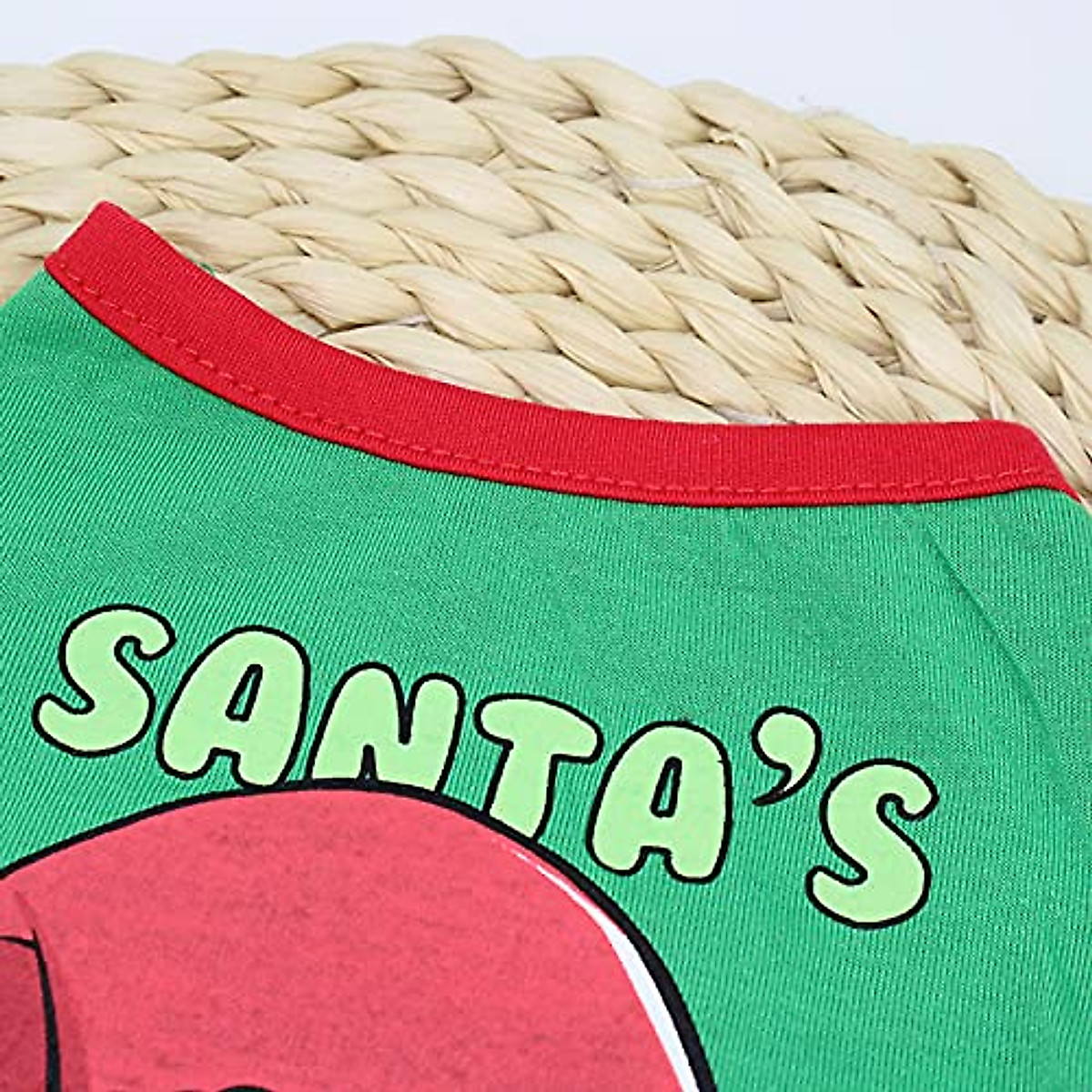 prettDliJUN Dog Christmas Printed T-Shirt, Two Legs Style Xmas Printed Small Pet Costume for 4 Seasons,XL