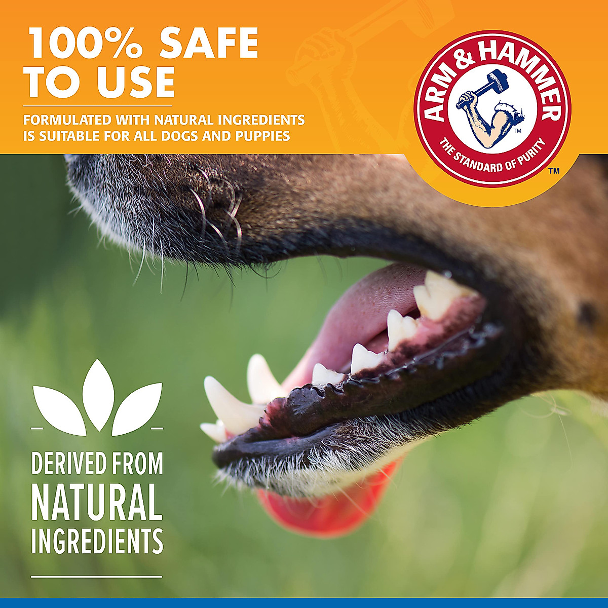 Arm & Hammer for Pets Combo Pack Dog Dental Tartar Control Water Additive and Fresh Breath Vanilla Ginger Enzymatic Toothpaste | Includes 16 Oz Dog Water Additive and 2.5 oz Dog Toothpaste