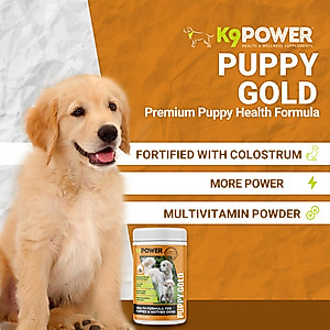 K9 Power Puppy Gold 1 lb - Supplement for Growing Puppies & Nursing Mothers - Essential Nutrients for Healthy Growth & Development - 45 Scoops