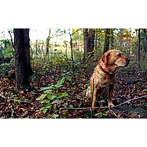 Tenax 2A140075 Pet Fence Select Pet Fence, Black, 4' x 330'