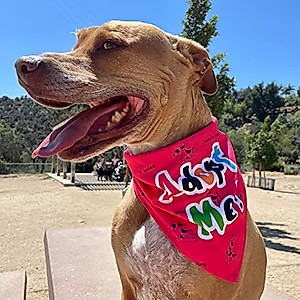 Giving Paws - Adopt Me Dog Bandana - Puppy Bandanas with Sweet Sayings and Eye-Catching Solid Colors - Giving Back to Pets in Need - Green Bandanas for Dogs - Large/X-Large