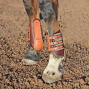 Classic Equine Leather Front Splint Boot, Large