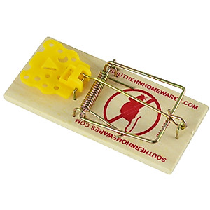 Snap Mouse Trap Spring Action with Expanded Cheese Shaped 24 Pack