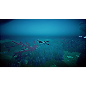 U&I Entertainment RiME - PlayStation 4 Standard Edition