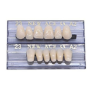RZJZGZ 168 Pcs Dental Synthetic Resin Tooth Denture Temporary False Teeth 6 Sets False Teeth 23 A2