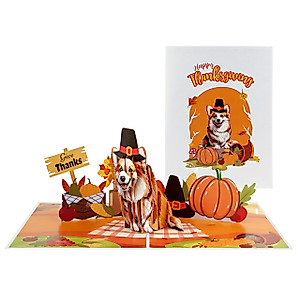 iGifts And Cards Thanksgiving Blessings with Corgi 3D Pop Up Card - 6x8 Greeting Card with Envelope & Notecard, Cornucopia of Thanks, Holiday Season, Autumn Harvest, Gratitude Gift for Dog Lovers