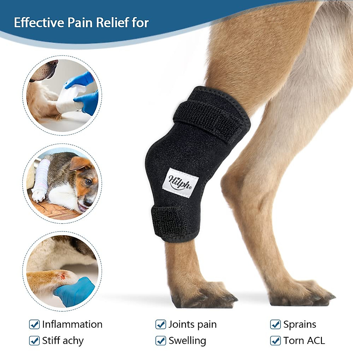 Hilph Dog Ice Pack for Rear Leg Hock,Cooling Hock Wraps with 2 Gel Ice Packs, Cold and Heat Compression Therapy for Dogs Hock Injuires, Dog Joint Pain, Sprains and Post Surgery Recovery (Large)