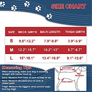 BUVUB Heated Dog Hip Brace Comes with Power Bank Heat Therapy for Dog with Hip Dysplasia, Arthritis, Hip Pain, Lower Back Pain, Weakness or Back Leg Limping(M)