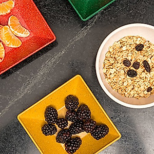 EVO Sustainable Goods Five Piece Serving and Snack Set, Blue