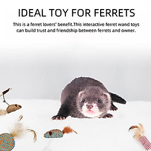 7 Pack Ferret Toys - Interactive Ferret Toys Assortments Feather Teaser Wand with Sisal Mice Balls and Bells Toys for Ferret Cat Kitten Puppy (7 Pack)