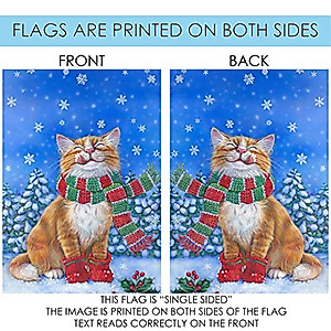 Toland Home Garden 119376 Kitten Mittens Winter Flag 12x18 Inch Double Sided Winter Garden Flag for Outdoor House Christmas Flag Yard Decoration