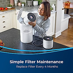 BISSELL® MYair™ Pro Replacement HEPA and Carbon Filter, 3069