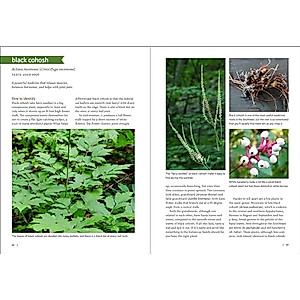 Southeast Medicinal Plants: Identify, Harvest, and Use 106 Wild Herbs for Health and Wellness (Medicinal Plants Series)