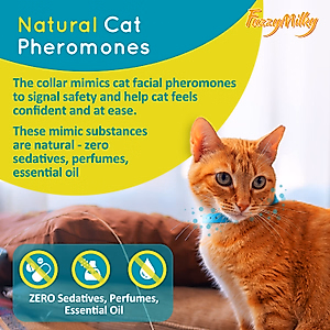Fuzzymilky Cat Calming Collars - 3 Packs Cat Collar Infused with Pheromones (Blue) for Cat Anxiety Relief