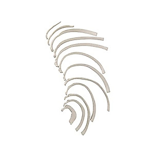 Wellden Medical Full Disarticulated Skeleton, Human Anatomical, Life-Size, 170cm