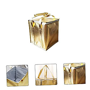 Didiseaon 2pcs Baking Tote Backpack Coolers Ice Pack for Cooler Bag Zippered Tote Take Food Bag Meal Delivery Bag Heated Delivery Cake Pizza Packaging Bag Take-out Food Bag Thermal Bag