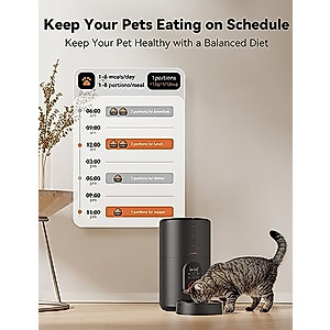 WOPET FT50 Automatic Cat Food Dispenser - Automatic Cat Feeders with Programable 1-6 Meals, Automatic Dog Feeder with Stainless Bowl, Timed Cat Feeder with 10S Voice Recorder for Cat and Dog, Black