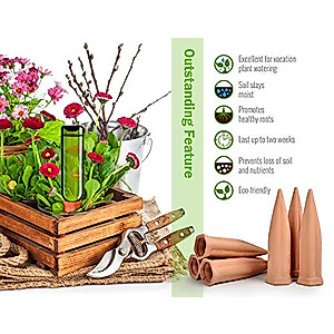 B SEPOR Ceramic Plant Waterer Set of 6 Pack Terracotta Self Watering Spikes,Wine Bottle Plant Watering Devices for Vacation (6Pack)