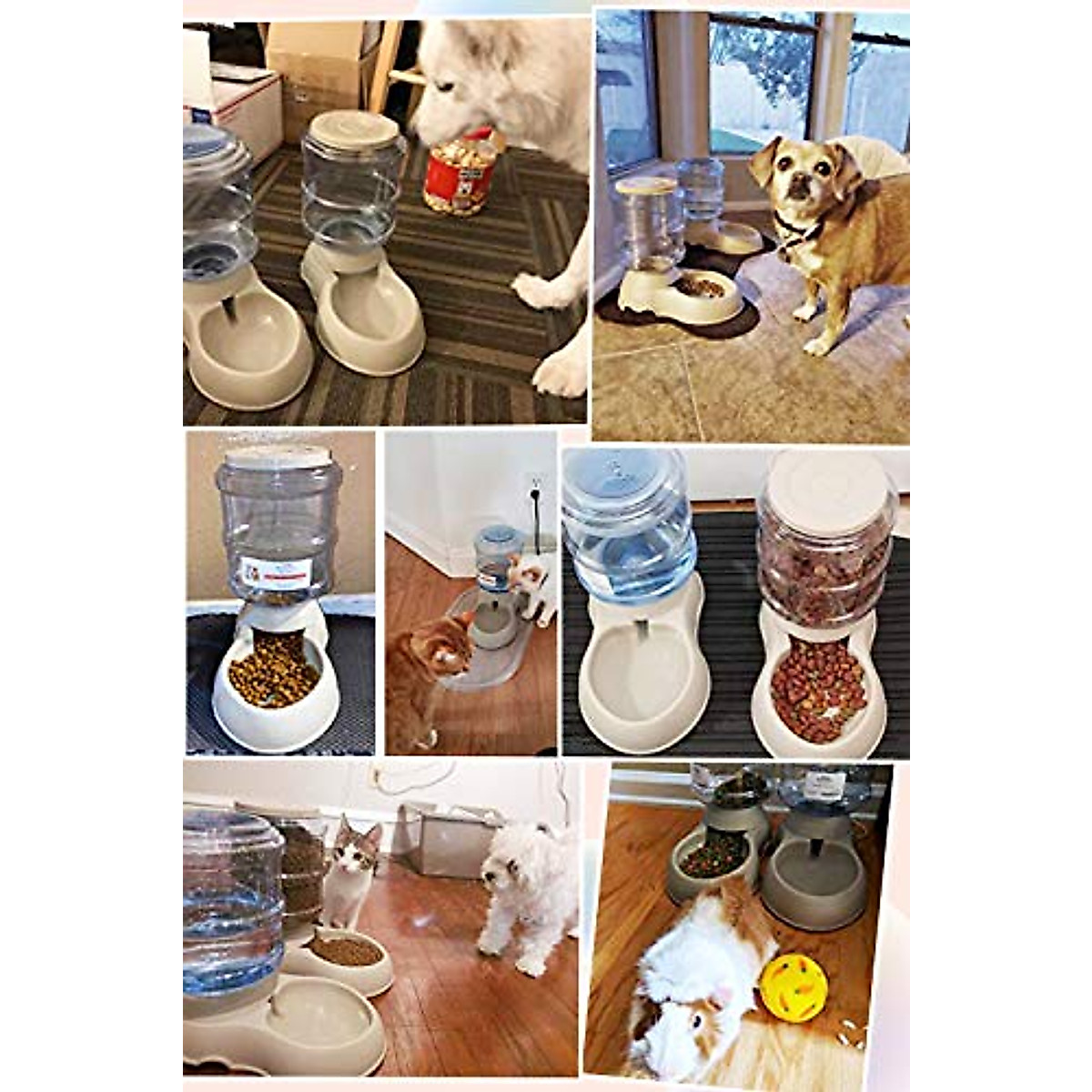 Pet Feeding Solution Automatic Cat & Dog Cafe Feeder and Water Dispenser in Set with Food Scoop - Ito Rocky 6-Meal Automatic Food Dispenser for Small/Middle Puppy and Kitten