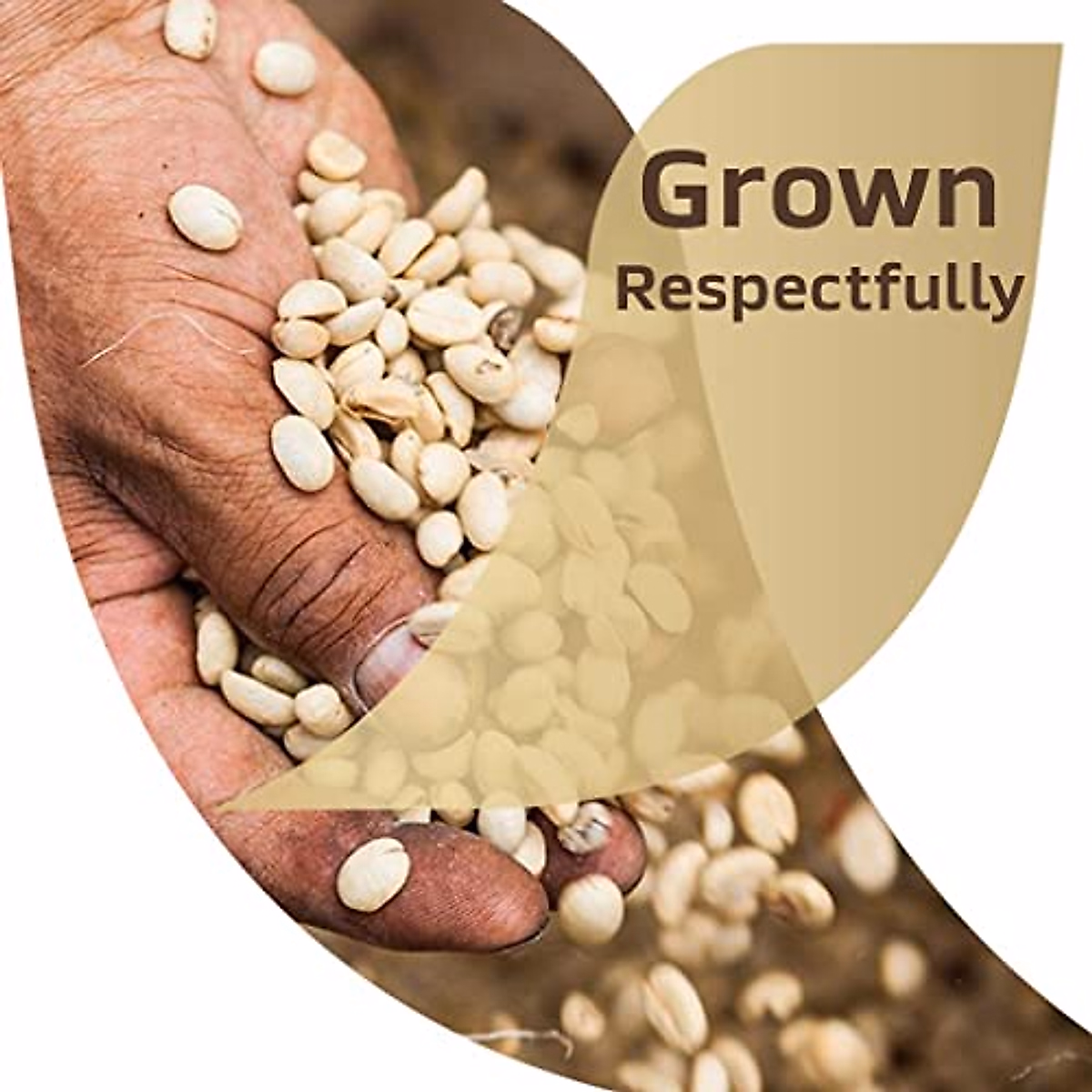 NESCAFE Taster's Choice, Colombian Medium Roast Instant-Coffee, 11.1 oz. Resealable Canister, 2 Pack (320-cups total)