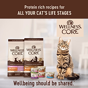 Wellness CORE Pate Adult Wet Cat Food, Natural, Protein-Rich, Grain Free, 3 Ounce, 12 Pack (Turkey & Duck)