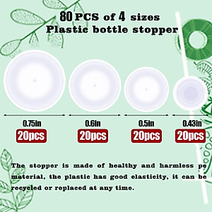 80 Pieces Salt and Pepper Shaker Stoppers 3/4 Inch, 3/5 Inch 1/2 Inch, and 7/16 Inch Plastic Salt Shaker Plug Replacement Salt and Pepper Shaker Stoppers Round Plastic End Cap for Pots Bottles Pipes