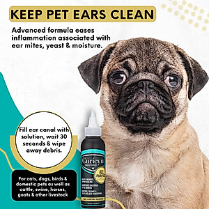 Curicyn Dog Ear Infection Treatment (3oz) - Dog Ear Cleaner - Dog Ear Cleaning Solution - Cat Ear Cleaner - Ear Drops for Kittens, Dogs & More