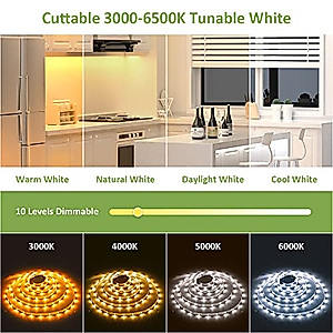 Novostella 40ft Tunable White LED Strip Light 1344 LEDs Dimmable 3000K-6500K 24V Remote Flexible LED Tape for Christmas Living Room Cabinet Counter Bedroom Home Kitchen Bar Ceiling Daylight Warm White