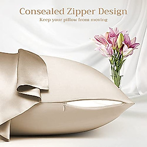 Lacette Silk Pillowcase for Hair and Skin, 22 Momme 6A Soft Silk Pillow Case with Hidden Zipper, Gift Box, 600 Thread Count, Double Side Silk/Wood Pulp Fiber, 1PC (Champagne, Queen Size 20"x30")…