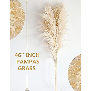 Bannifll 40" inch 10 Stems Natural Pampas Grass Decor Tall, pompas Grass, Tall Pampas Grass for Wedding, Party, Farmhouse, Boho Home Decor