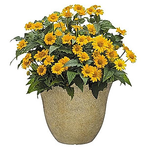 Classic Home and Garden Honeysuckle Resin Flower Pot Planter, Fossil Stone, 15"