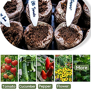 200 Pcs Peat Pellets - 30mm Seeds Plant Starting Plugs, Compressed Nutrient Fertilizer Fiber Soil Block, Plant Pods Bulk for Seedling Transplanting Herb Flower Vegetables