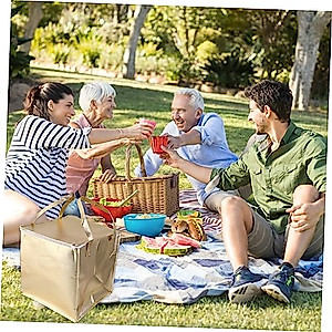 SHOWERORO 1pc Gold Coated Non-woven Insulation Bag Ice Bag Picnic Cooler Bag Zipper Tote Bag Insulated Cake Bag Cake Tote Bag Portable Cooler Bag Meal Food Baby Non-woven Fabric