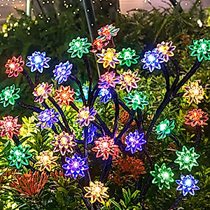 KOOPER 4 Pack Solar Garden Lights with Bigger Lily Flowers & 4 Pack Solar Garden Lights