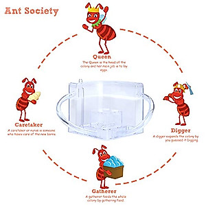 NAVADEAL Sand Ant Farm with Connecting Tubes, Habitat Educational & Learning Science Kit Toy for Kids & Adults - Allows Study of Ecosystem, Behavior of Ants, Explore The World at Home and School