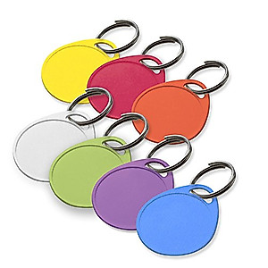 Lucky Line 1-1/4" Label It Plastic Tag, 100 Pack, Assorted Colors (25075)