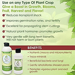 VermisTerra Vitality 16 oz - Worm Castings Super Concentrate, Plant Food, Fertilizer - Promotes Health, Amazing Growth for Vegetables, Fruit, Houseplants - Non-Toxic, Gentle - Will Not Burn